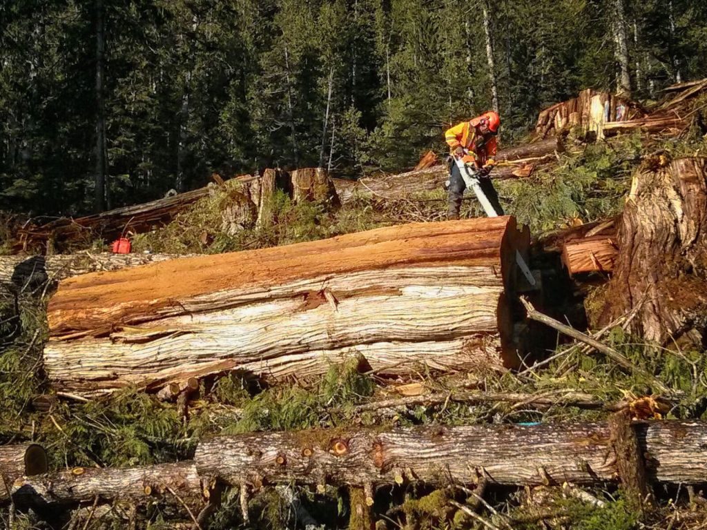 Storey Creek Trading Ltd. - Independent Log Marketing Experts