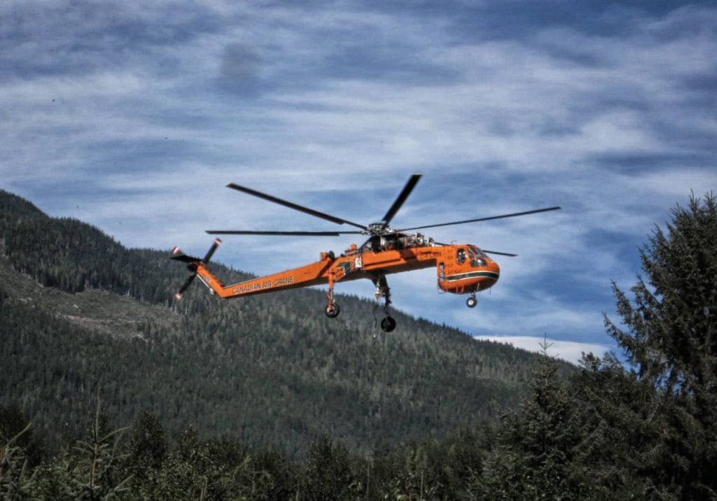 Storey Creek Trading Ltd. - Independent Log Marketing Experts